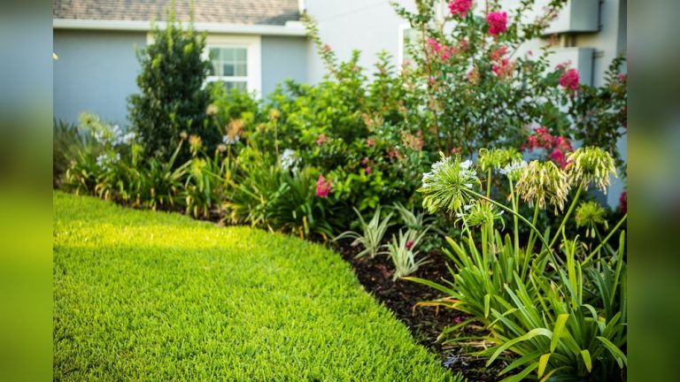 Best Plants for Front Yard Central Florida: Top Picks for Vibrant Curb ...