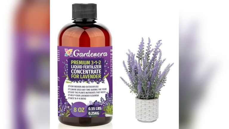 Lavender Fertilizer: The Ultimate Guide for Stunning Blooms